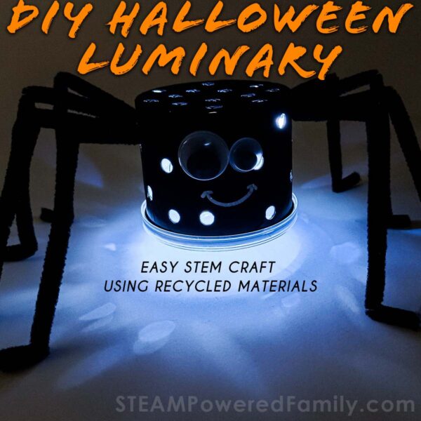 STEAM Arts and Crafts Archives ~ STEAM Powered Family