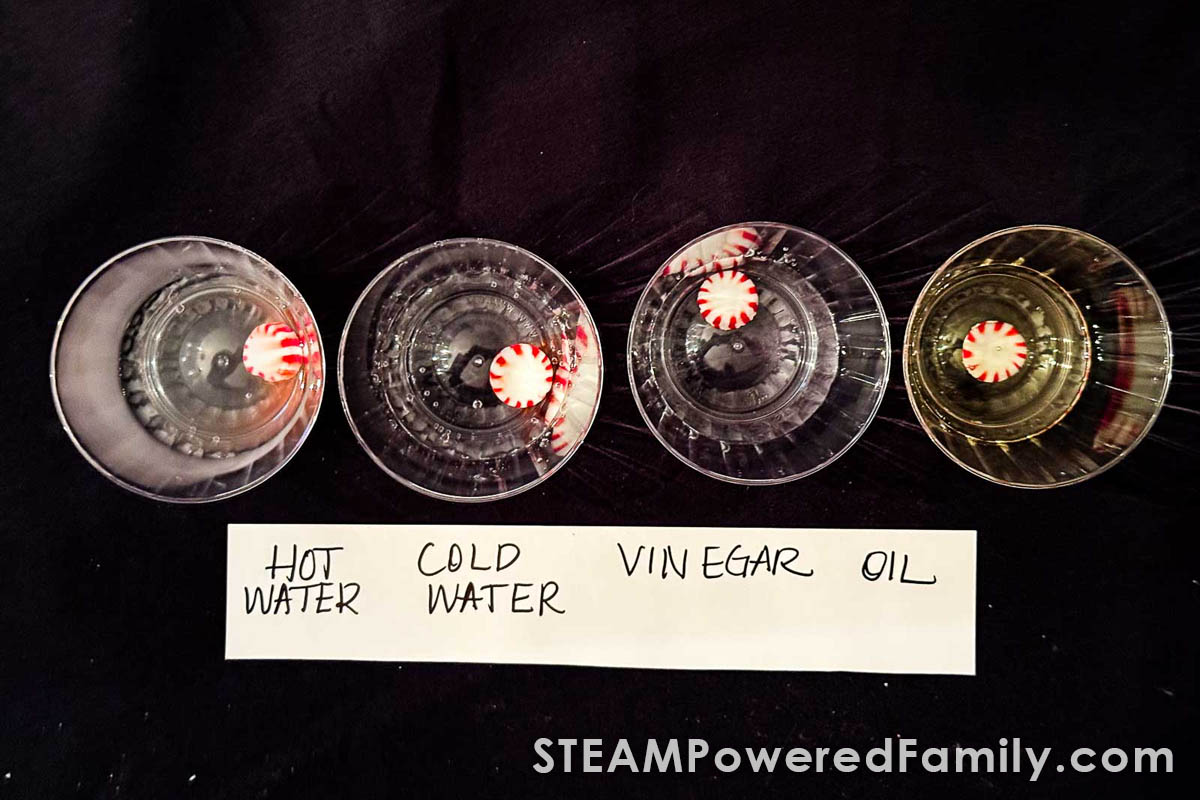 Quick & Easy Candy Cane STEM Activities For The Classroom